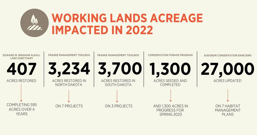 Improving Habitat and Enrolling Acres | Audubon Great Plains Improving Habitat and Enrolling Acres | Audubon Great Plains